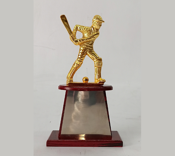 Cricket Trophy Suppliers in Pune| Cricket Trophies| Bowling Trophy ...