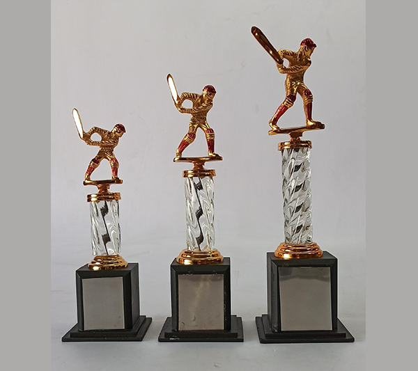 Cricket Trophy Suppliers in Pune| Cricket Trophies| Bowling Trophy ...